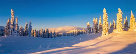 пейзаж с видом на подсвеченные солнцем сугробы и деревья · 1920x768 Обложка для Vk бесплатная