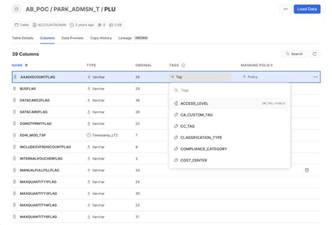 What Is Snowflake Data Governance Steps And Best Practices For Setup