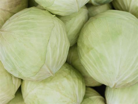 Коли і як прибирати капусту щоб довго зберігалася секрети городника