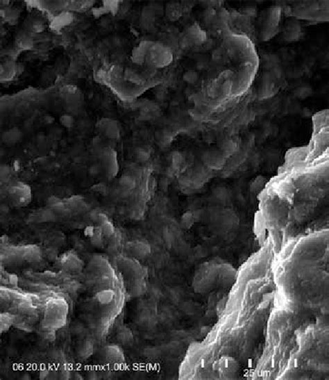 Sem Image Of Phyllosilicate Group Minerals Separated From Loose Terra Download Scientific