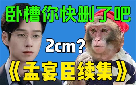 孟宴臣被撕！被甩锅2cm！前粉爆聊天记录晒出惊人内幕！谁在预谋撕x蹭热度，一目了然！ 天气微凉淡淡月光 天气微凉淡淡月光 哔哩哔哩视频