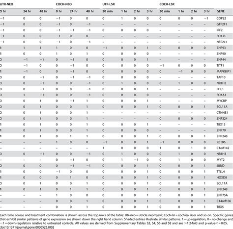 Genes That Exhibit Identical Patterns Of Expression In At Least One