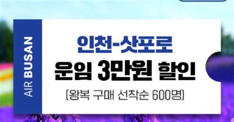 에어부산 인천 삿포로·보홀 노선 새로 띄운다