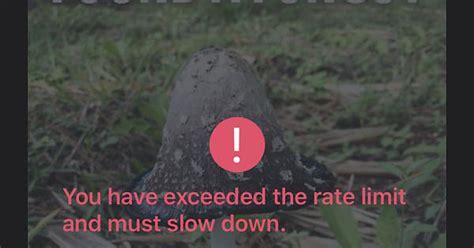 Rate Limit Album On Imgur