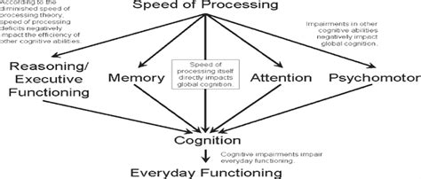 Speed Of Processing In Older Adults A Cognitive Overview Fo Journal Of Neuroscience Nursing