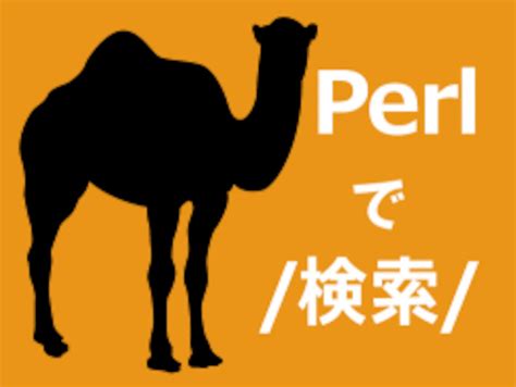 Perl の正規表現で文字検索 Perl All About