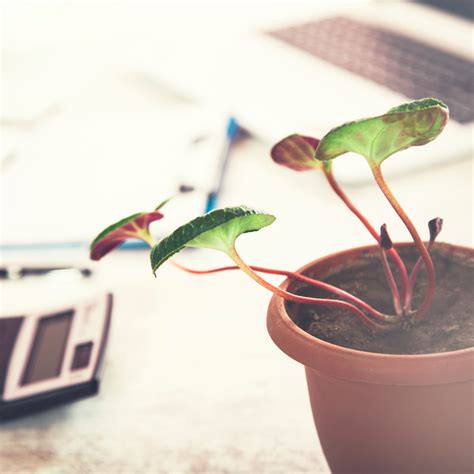 Can You Review The Cpg Guidelines For Frequency Of Treatment And Define