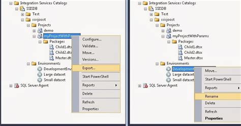 Microsoft Sql Server Integration Services Deploying Ssis 2012 Environments