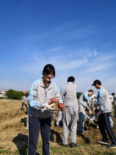 耕耘田地间 劳动最光荣记我校2021届高二学农实践活动 上海市上南中学