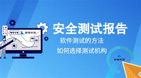 软件安全测试报告样例。 csdn博客