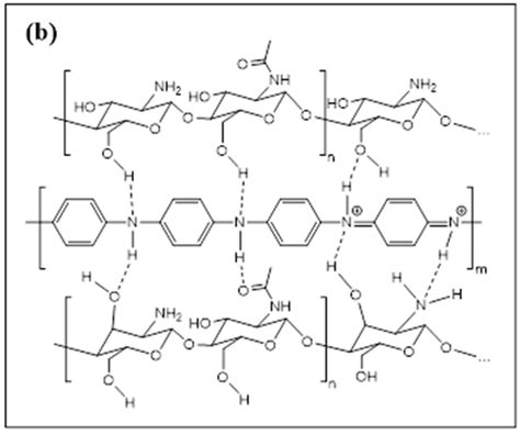 Schematic Illustration Of Molecular Structures Of Polymer Fragments Download Scientific
