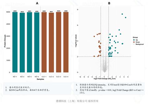 Lfq—细胞组织定量质谱分析 上海百翱杰生物科技有限公司