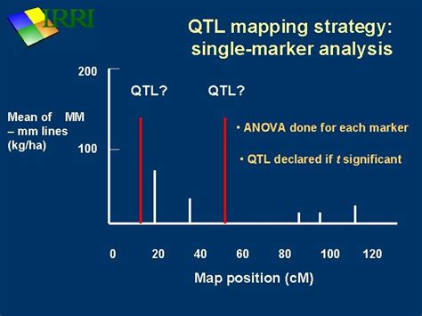 Planning Breeding Programs For Impact Qtl Analysis And