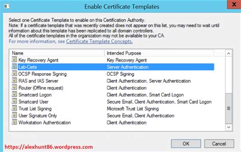 Web Server Certificate Template