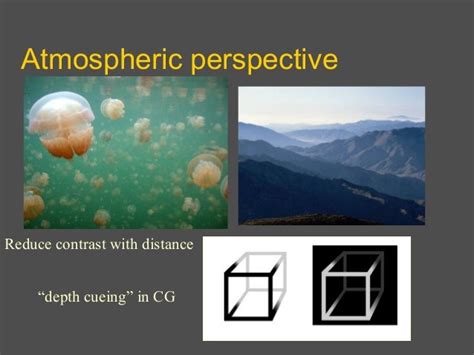 Visual Thinking Colin Ware Lectures 2013 7 3 D Space Perception