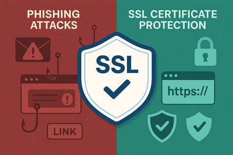 Phishing Attacks And Ssl Certificates Trustico® Online Security