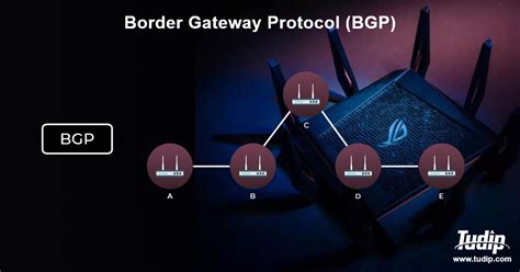 Blog Border Gateway Protocol Bgp Tudip