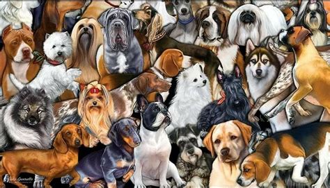 ცხოველების მოყვარულთათვის Facebook