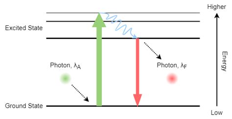 Fluorescence Spectroscopy Basics