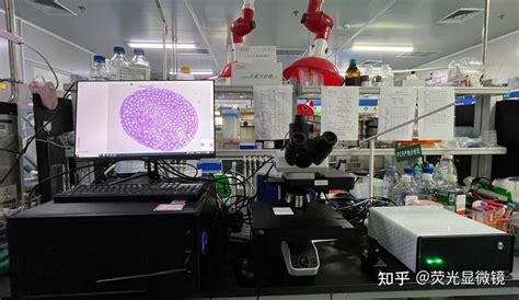 数字病理切片扫描仪怎么选？ 知乎