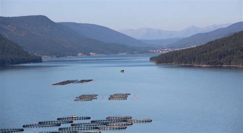 Oбщина Сърница