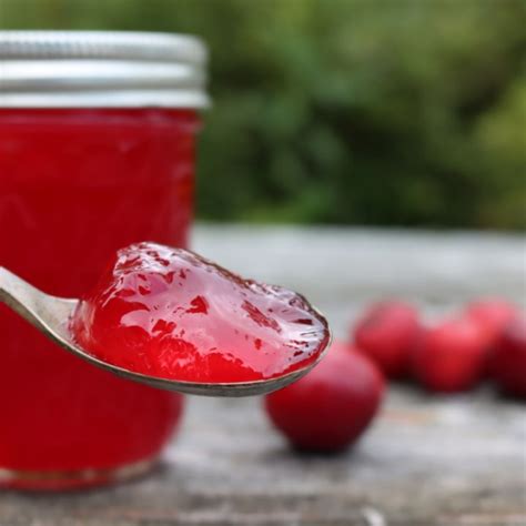 Top 20 Jelly Types To Make At Home Crazy Masala Food