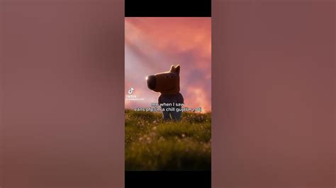 chillguymeme chillguy youtube