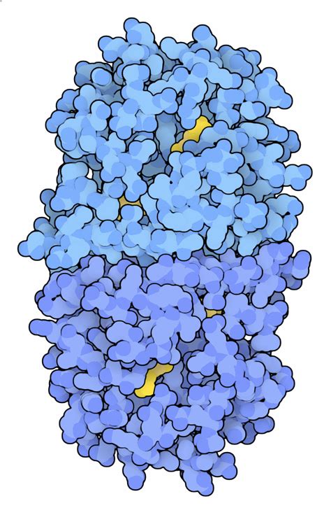 Pdb 101 Learn Structural Biology Highlights Archaeal Lipids