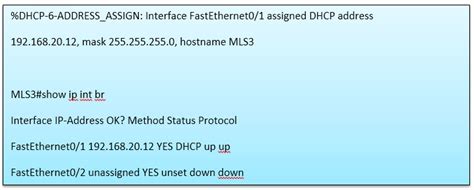 Lab Configuring DHCP Client On A Switch Or Router JN NEC