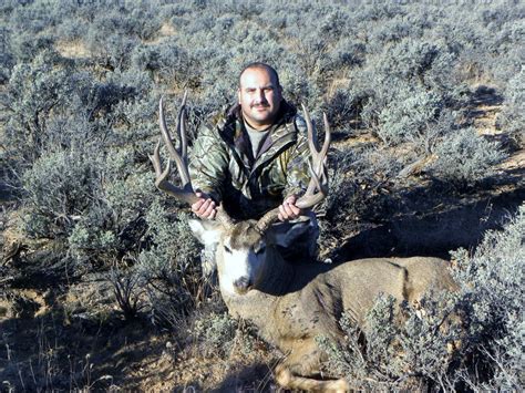 12b West Muleys Mule Deer Hunting Discussion Forum