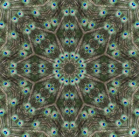 Free Images Bird Texture Pattern Green Circle Art Design Symmetry Photoshop Peafowl