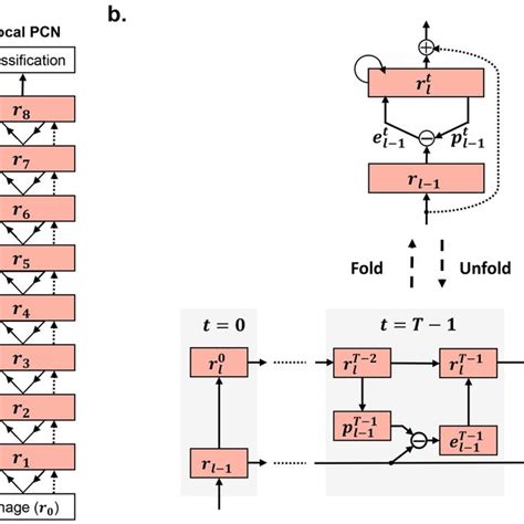 Architecture Of Cnn Vs Pcn A The Plain Model Left Is A Feedforward
