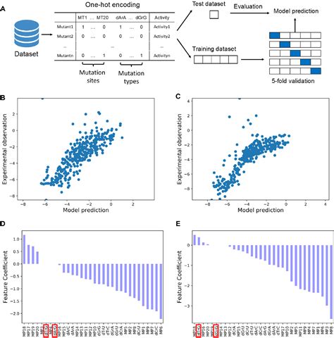 Figure 3 From Guide Target Mismatch Effects On Dcas9 Sgrna Binding Activity In Living Bacterial