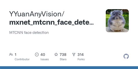 Github Yyuananyvisionmxnetmtcnnfacedetection Mtcnn Face Detection