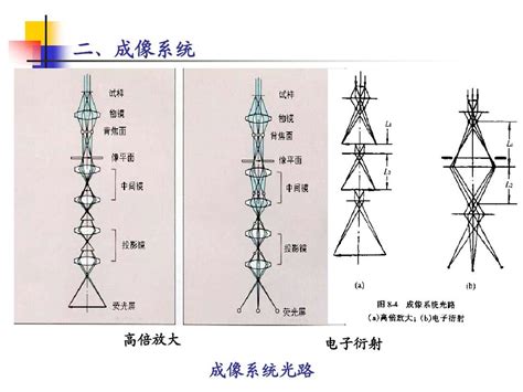 Tem透射电子显微镜word文档在线阅读与下载无忧文档