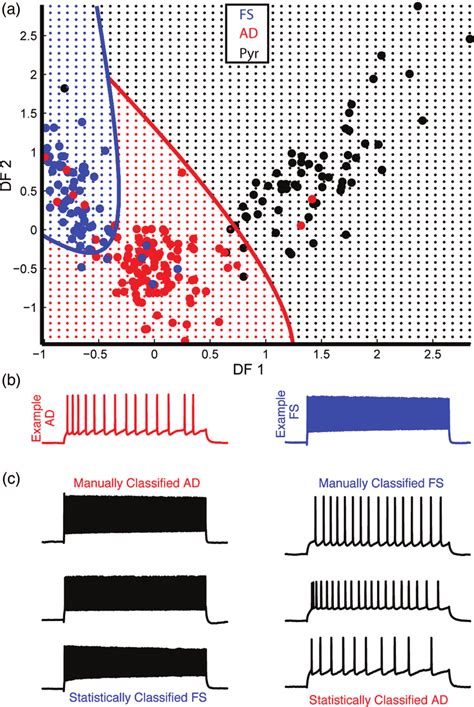 Classification By Decision Regions The Space Of The First 2 Dfs Is