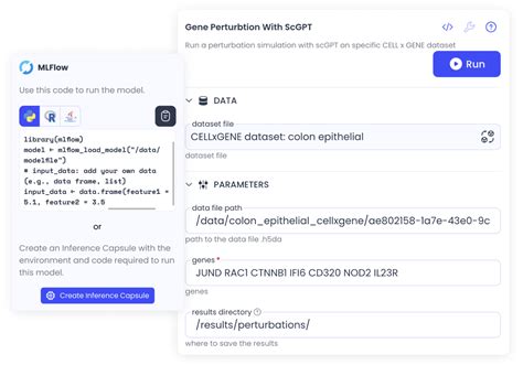Introducing Code Ocean Models A Unified Environment For Ml In Compbio