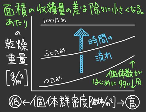 74最終収量一定則 SOIL SHOP生物教材製作所 自習室