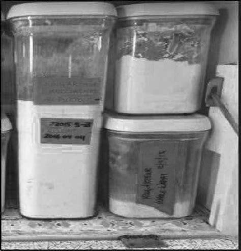 Labelling Of Containers Download Scientific Diagram