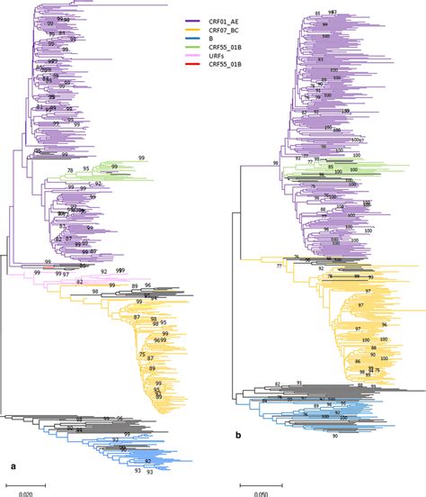 Phylogenetic Tree Analysis Of Partial Pol A And Env B Region Download Scientific Diagram