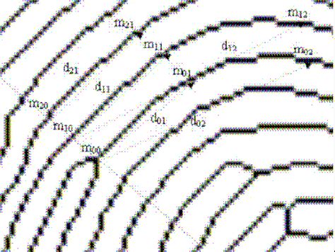 Figure 1 From Delaunay Triangulation Algorithm For Fingerprint Matching Semantic Scholar