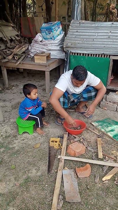 মুরগির ঘরের দরজা ঠিক করতেছি Murgeer Ghare Youtube