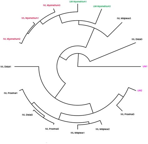 Cluster Analysis Was Performed Using The Cluster R Package The Cluster Download Scientific