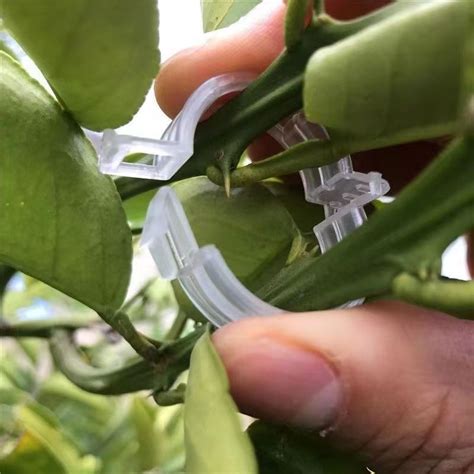 园艺植物固定夹西红柿嫁接夹绑蔓夹绑树枝卡扣塑料花瓜藤蔓固定夹 阿里巴巴