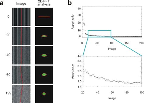 Simulation Showing The Identification Of Fiber Direction By 2d Fft