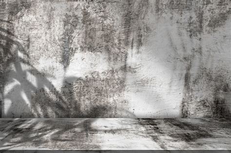 스튜디오 배경 회색 시멘트 바닥 거친 표면에 나뭇잎 그림자가 있는 콘크리트 벽 질감 벽에 원시 오래된 석고가 있는 스튜디오 디스플레이 짙은 회색 배경 복사 공간이 있는