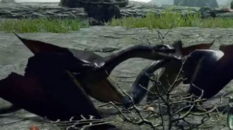Monster Hunter Rise Where To Find Remobra Flying Wyvern