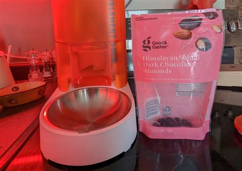 Hacking Developers With A Cat Feeder Whos A Good Kitty Hackaday