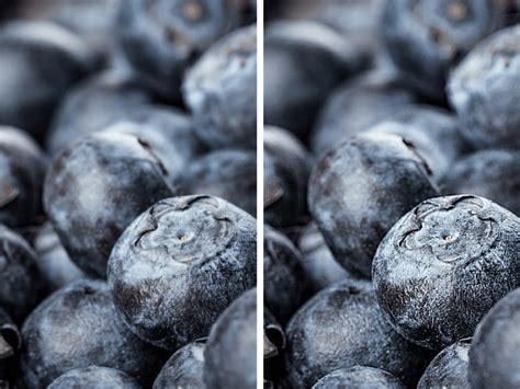 Размыть фон на фото онлайн легко — редактор фотографий Canva