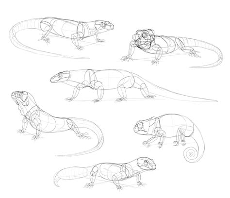 SketchBook Original How To Draw Lizards Monika Zagrobelna